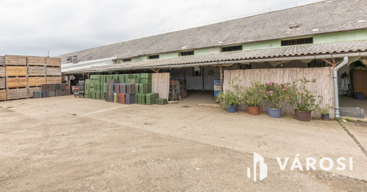 Makói, mezőgazdasági tanya/telephely eladó! | Városi Ingatlaniroda